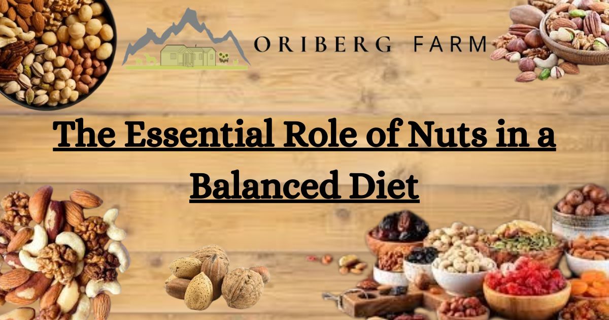 Role of Nuts in a Balanced Diet - Oriberg Farm
